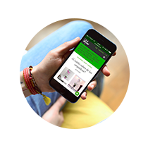 Hobby Flower - Hydroplanters, a reference on design